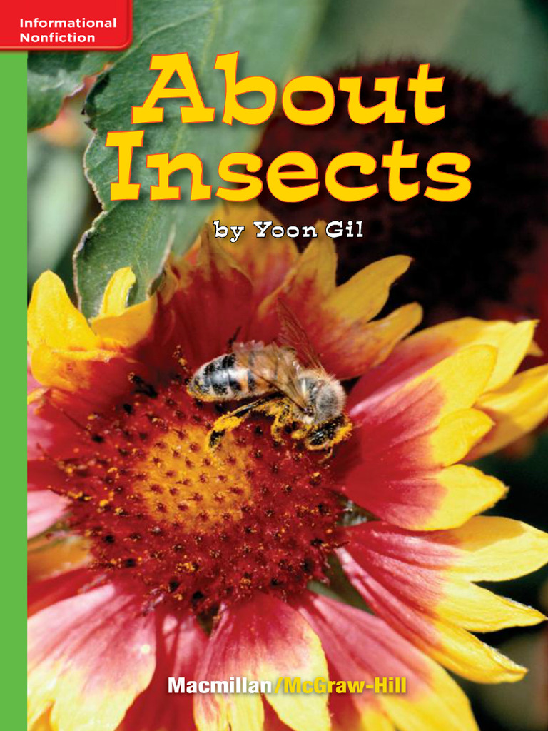 About Insects | PDF