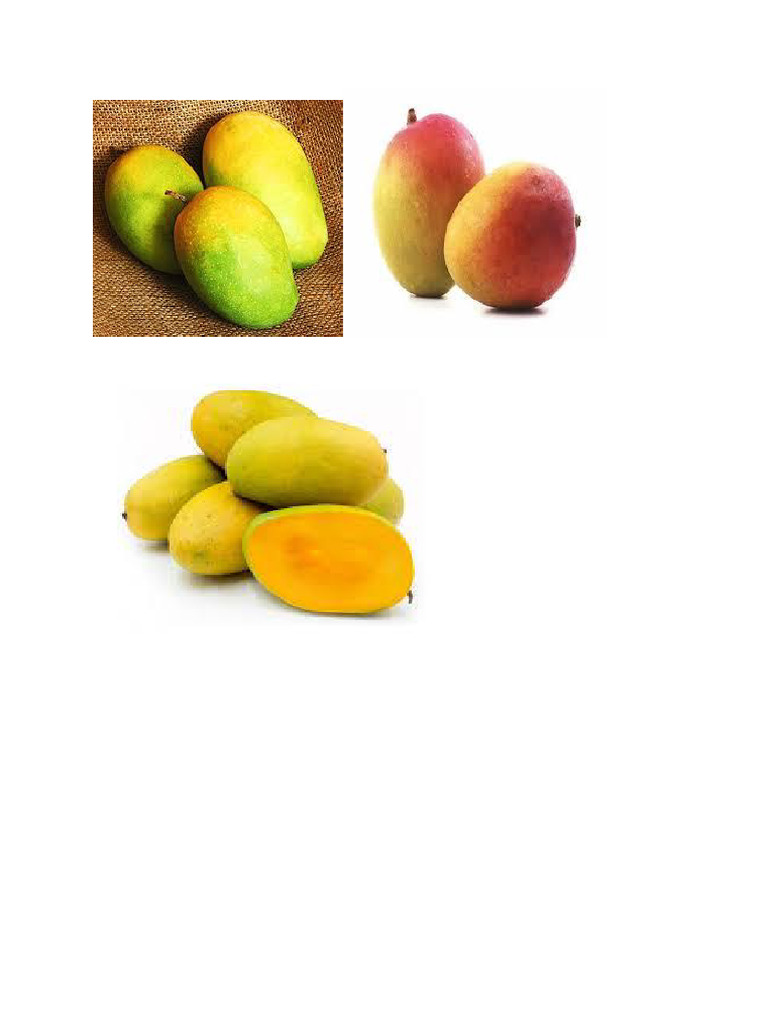 Mangoes | PDF