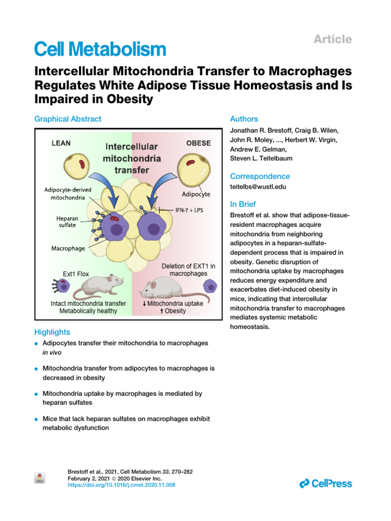 Brestoff, 2020 | PDF | Adipose Tissue | Mitochondrion