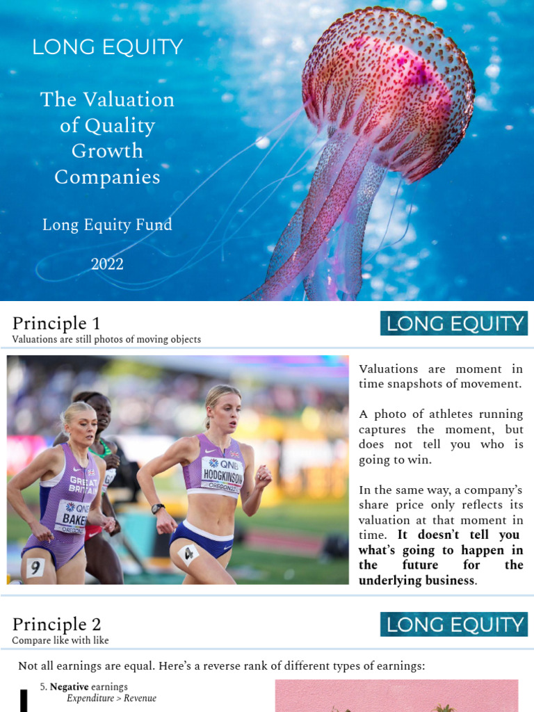 Equity Valuation Insights for Investors | PDF | Valuation (Finance ...