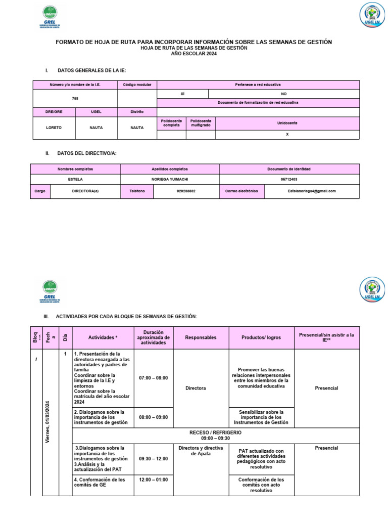 Formato de Hoja de Ruta - Semanas de Gestión | PDF