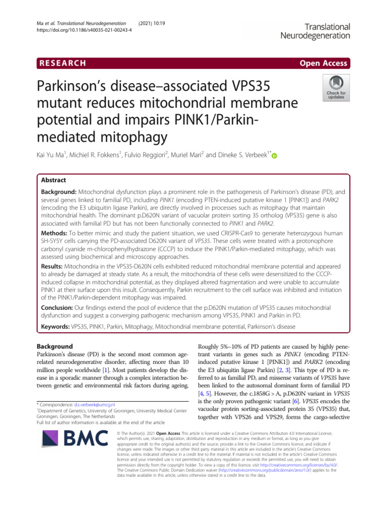 Parkinson 'S Disease-Associated VPS35 Mutant Reduces Mitochondrial ...