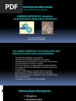 Parasitologia: Amibas de Vida Libre | PDF | Especialidades Medicas | Medicina CLINICA