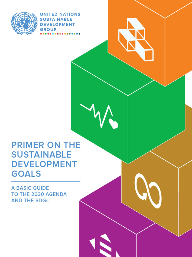 UNSDG SDG Primer Companion Piece | PDF | Sustainability | Sustainable ...