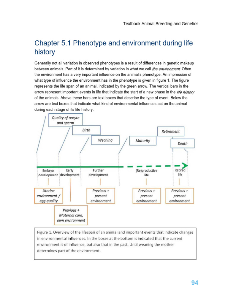 Environmental Effects | PDF | Reproduction | Phenotype