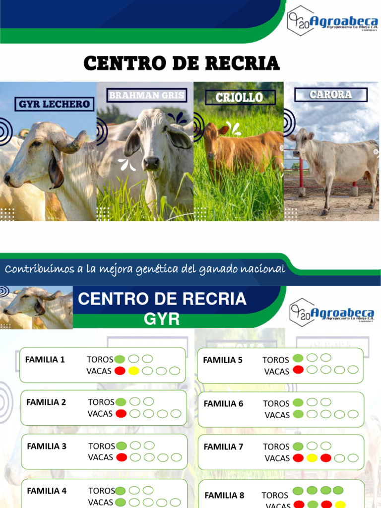 Familias Del Centro de Recria | PDF