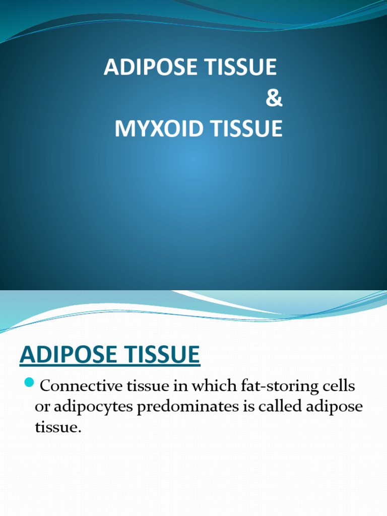 Adipose Tissue and Myxoid Tissue | PDF | Adipose Tissue | Tissue (Biology)
