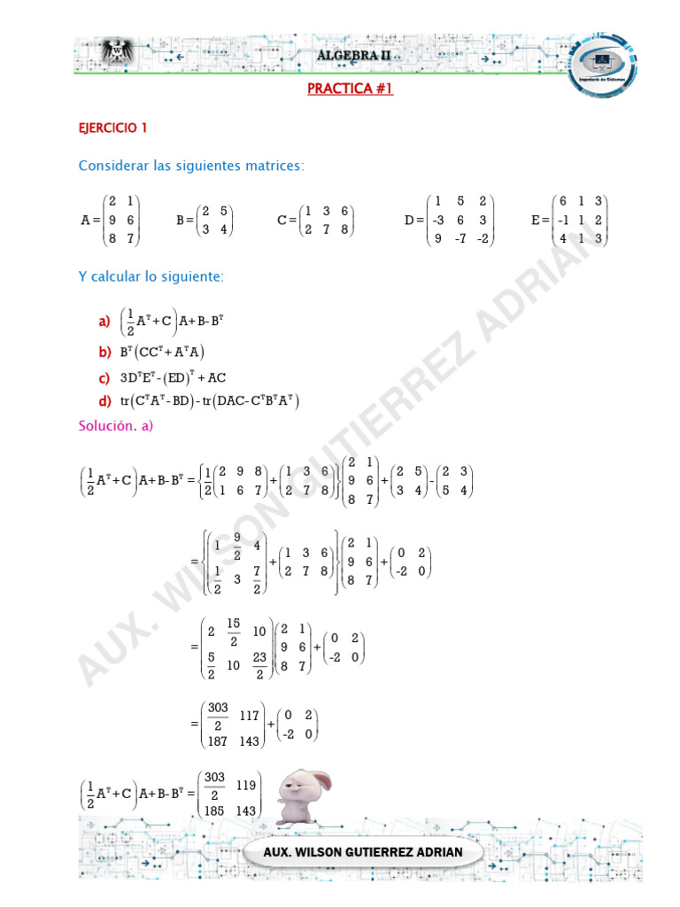 Practica 1 Paraleo A B I Resuelto Mitad | PDF | Functional Analysis | Linear Algebra