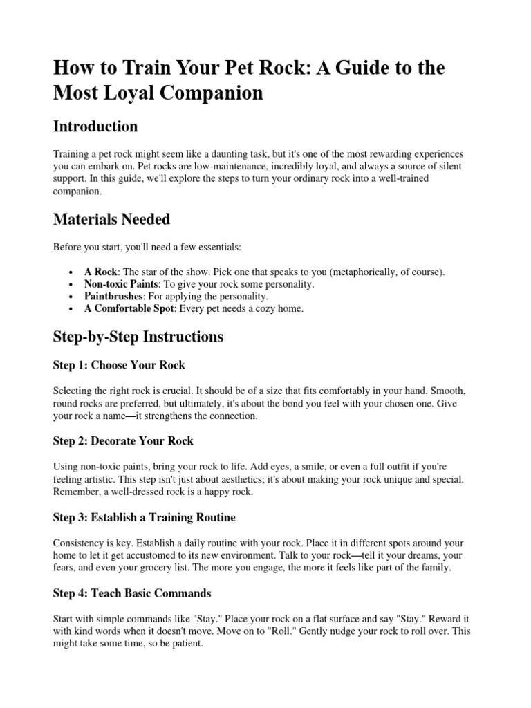 Pet Rock Training Guide | PDF