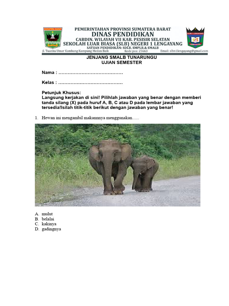 Soal Ipa SMPLB-B Oke 2019 | PDF | Metode & Bahan Ajar | Seni