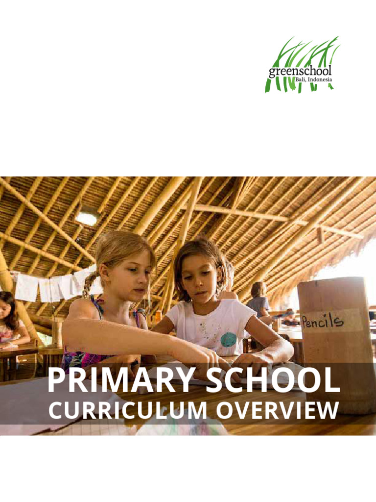 Primary School | PDF | Curriculum | Learning