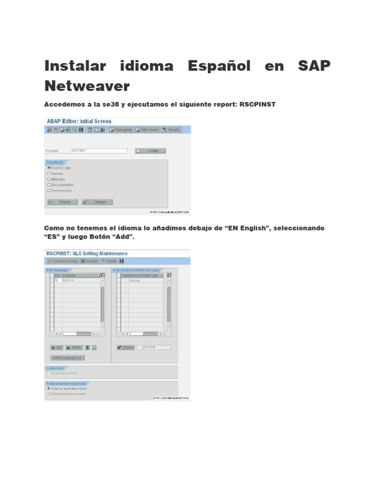 Instalar Español en SAP Netweaver | PDF | Informática
