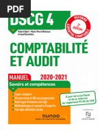 Liste Des Comptes Du Plan SYCEBNL | PDF