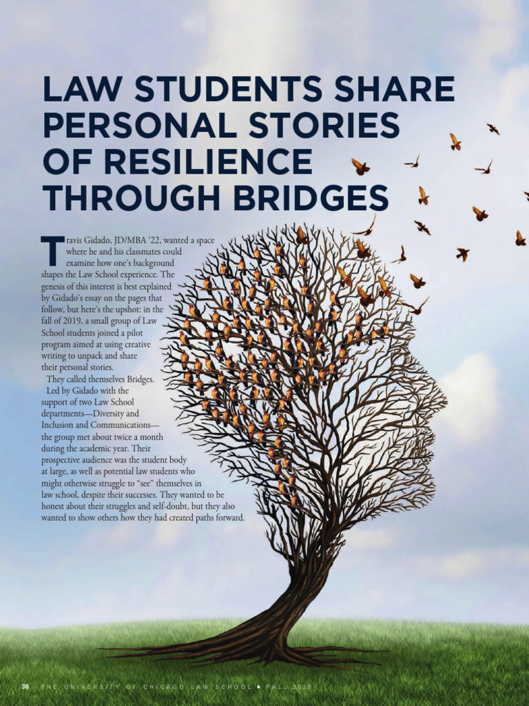 Law Students' Personal Stories of Resilience | PDF | Psychotherapy ...