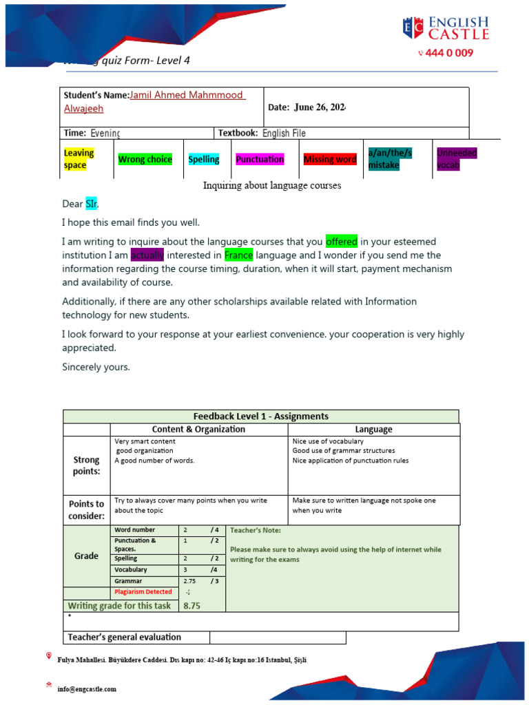 Level 4 Writing Quiz Feedback | PDF | Human Communication | Cognition