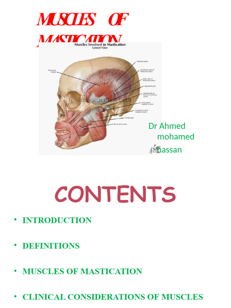 Muscle of Mastication | PDF | Anatomy | Human Head And Neck