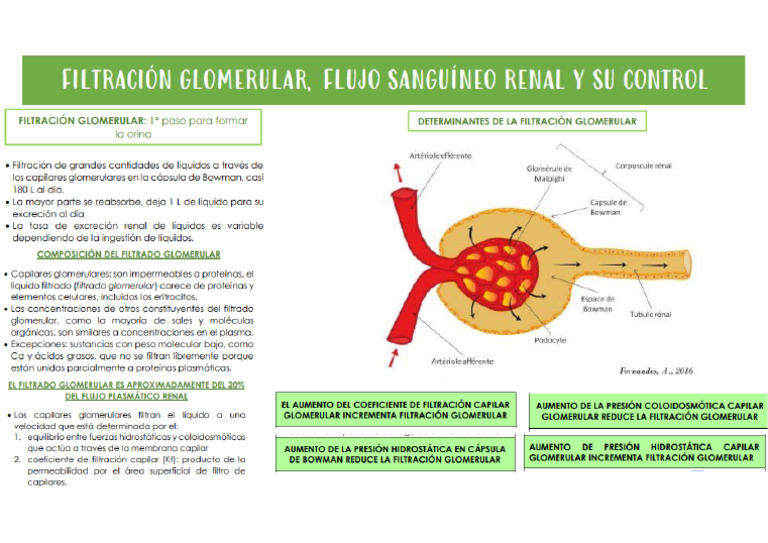 Imprimir en A3 | PDF