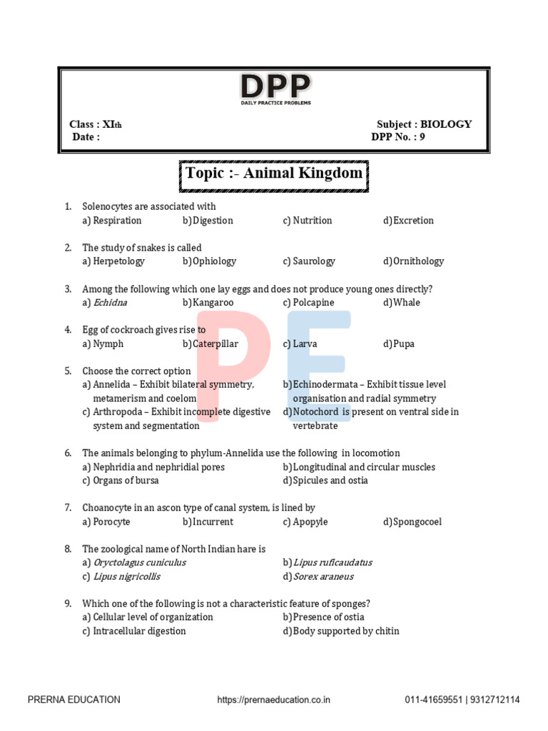 Animal Kingdom DPP 9 | PDF | Sponge | Biology