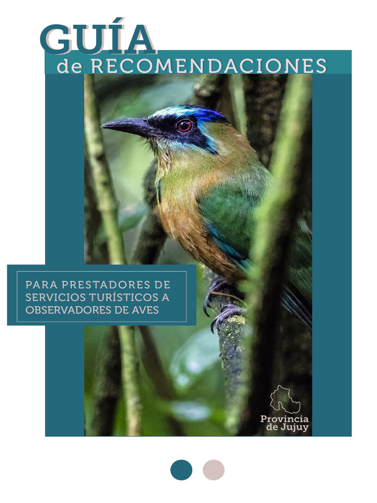 Guia de BBPP Aves | PDF
