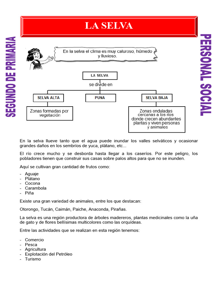 Ficha Region La Selva | PDF | Selva