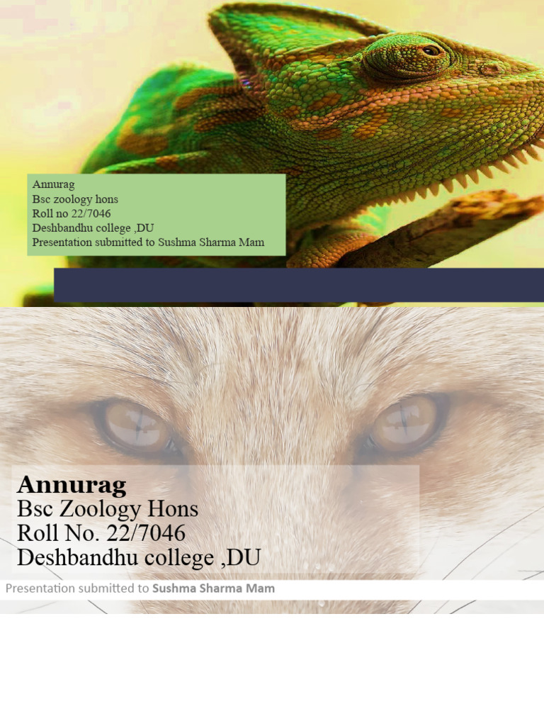 Stimulus Filtering in Animals | PDF | Perception | Stimulus (Physiology)