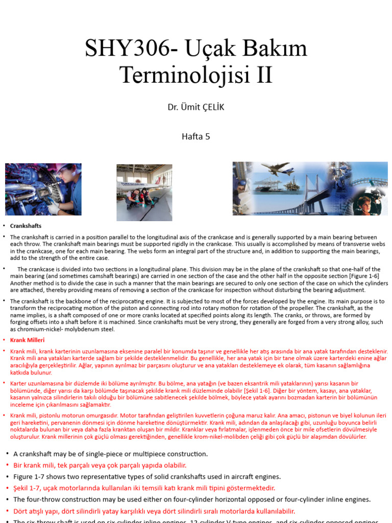 Terminoloji II Hafta 5 v1 | PDF