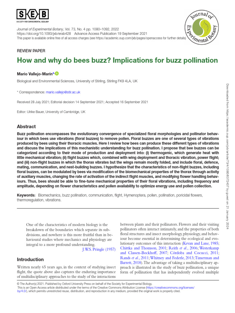 How and Why Do Bees Buzz Implications For Buzz Pollination | PDF ...