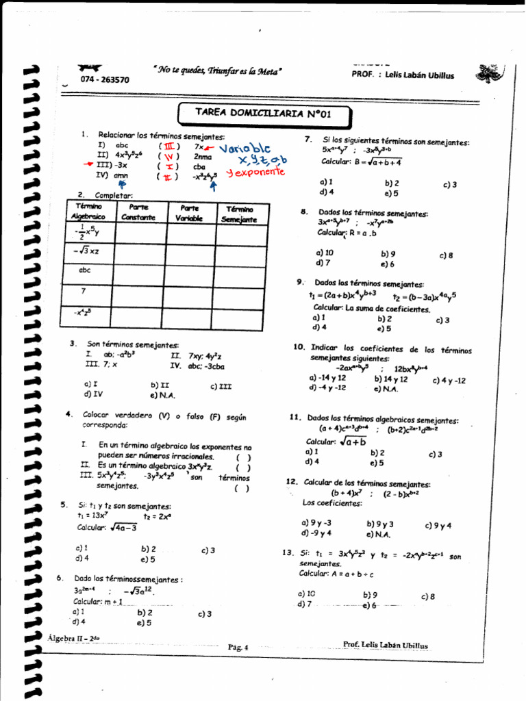 Algebra Primer Tema | PDF