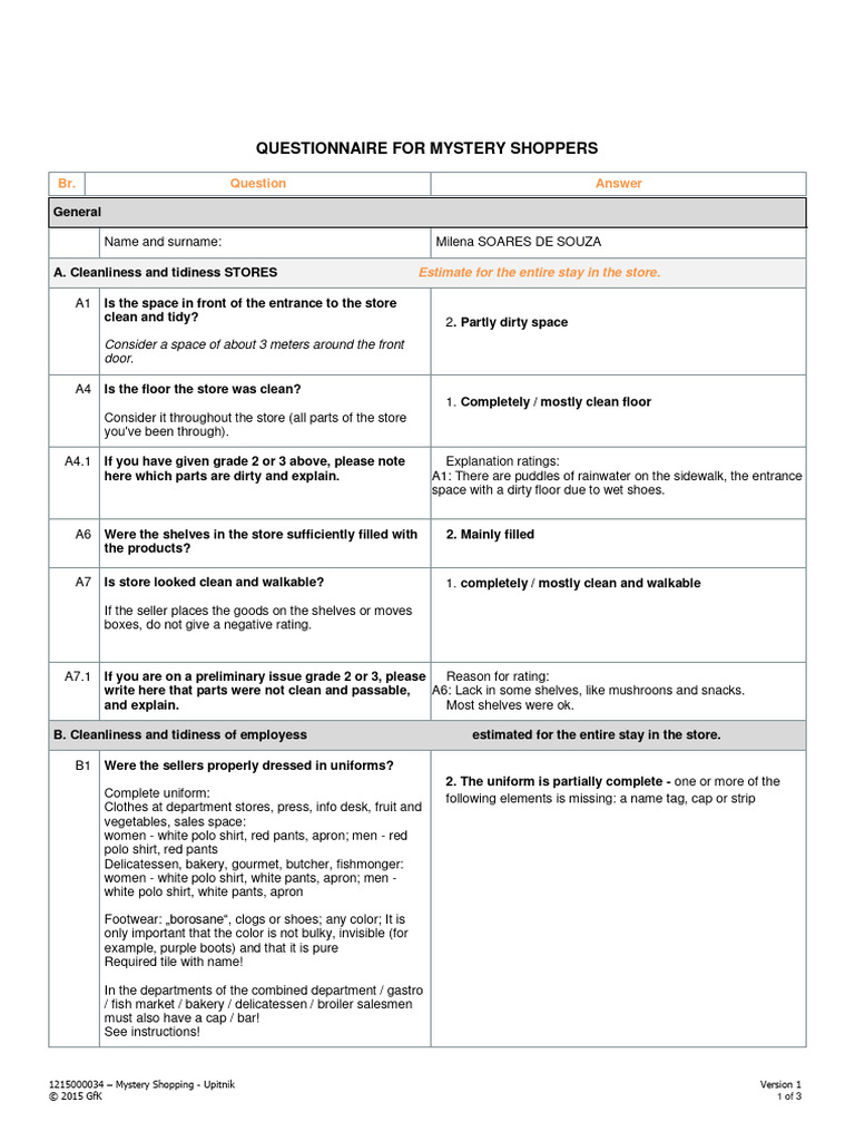 MS Questionnaire Short Version MILENA | PDF