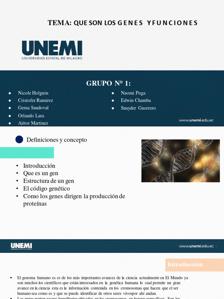 Definición y Función de los Genes | PDF | Gene | Adn