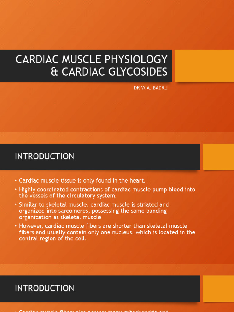 Cardiac Muscle Physiology & Glycosides | PDF | Cardiac Muscle | Muscle
