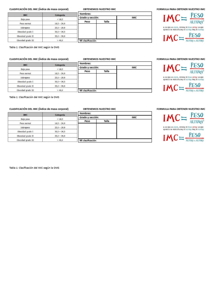 Ficha para Obtener El Imc | PDF