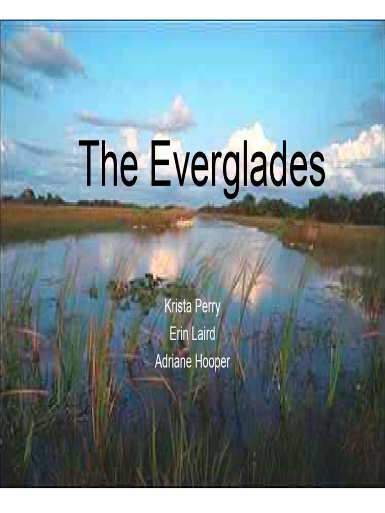 Everglades Ecosystem Overview | PDF | Everglades | Swamp