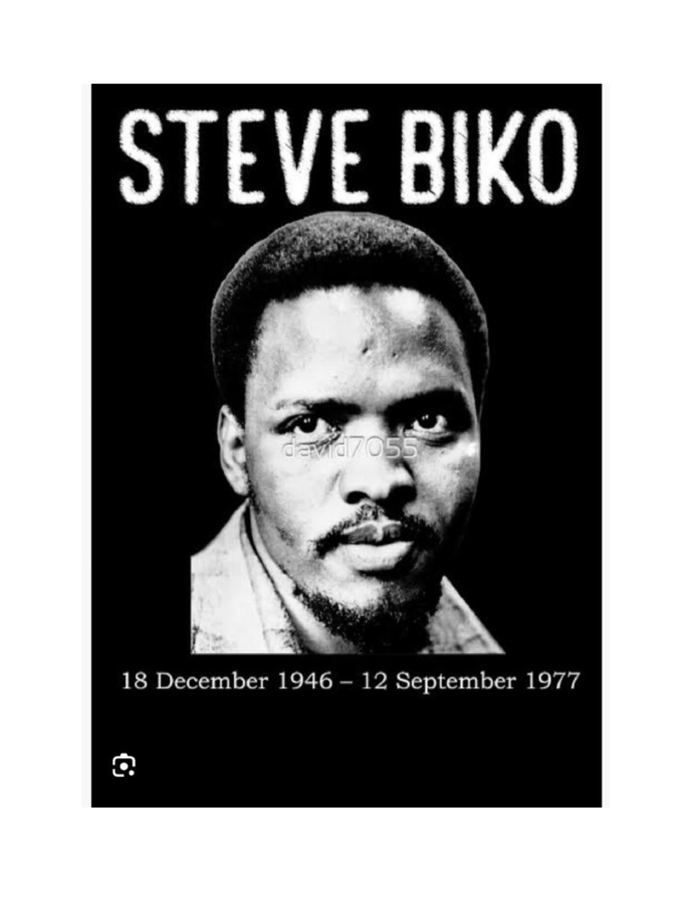 Steve Biko | PDF
