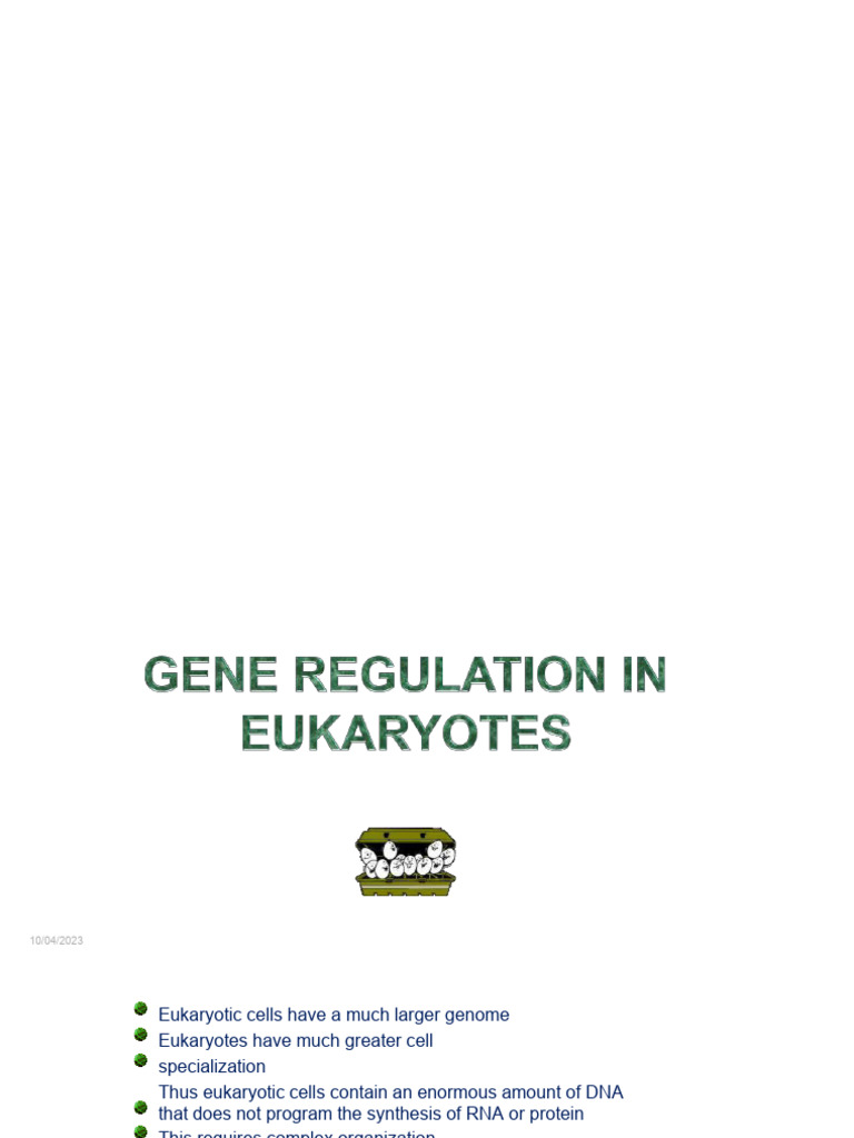 Eukaryotic Gene Expression Regulation | PDF | Promoter (Genetics) | Rna ...