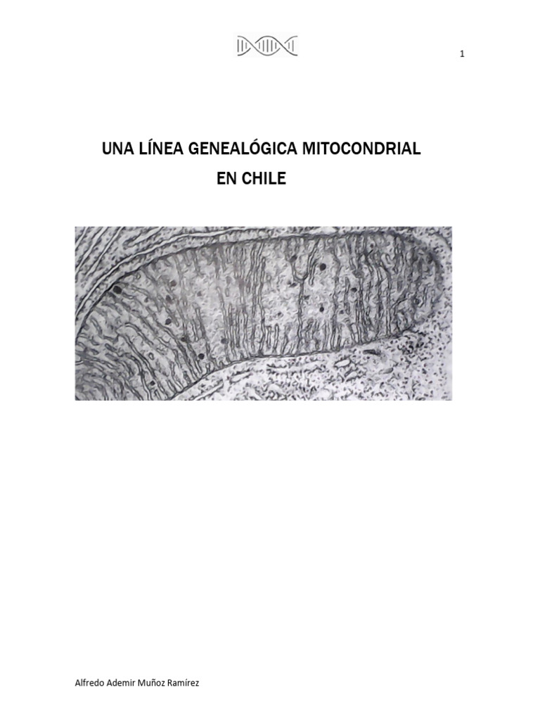 Genealogia Linea Materna 30 Junio 2024 | PDF | Mitocondria | Adn