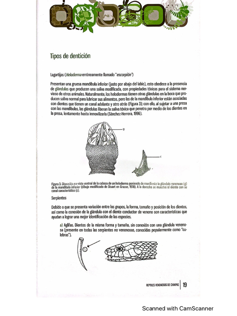 Animales Venenosos | PDF