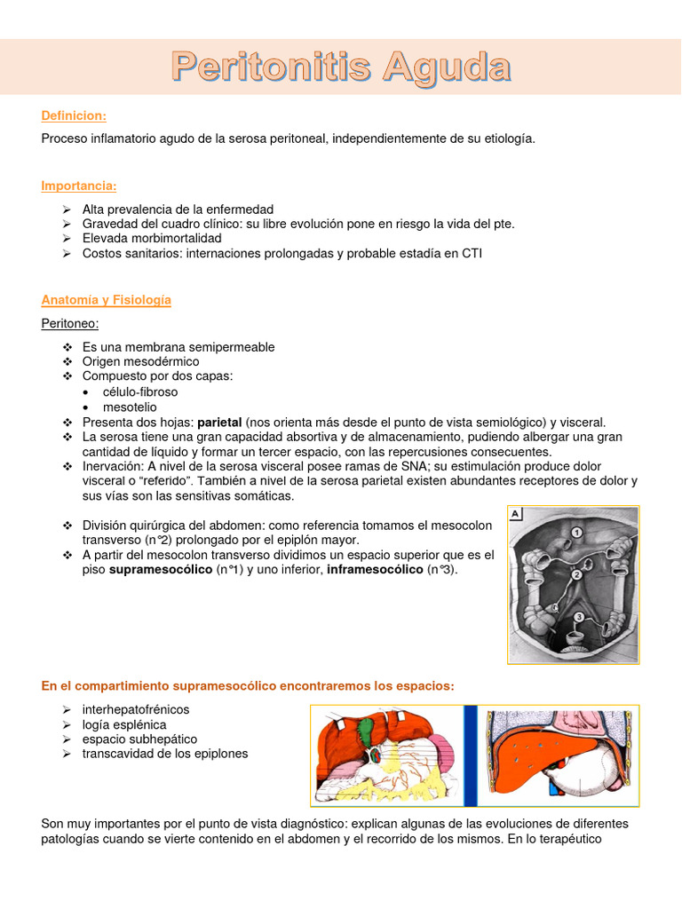 Peritonitis Aguda | PDF | Abdomen | Septicemia