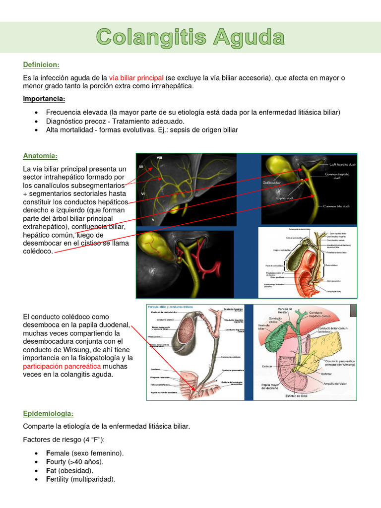 Colangitis Aguda | PDF | Septicemia | Sistema exocrino