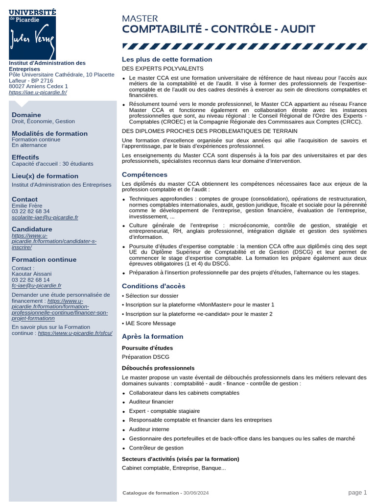 Master Cca | PDF | Audit | Comptabilité