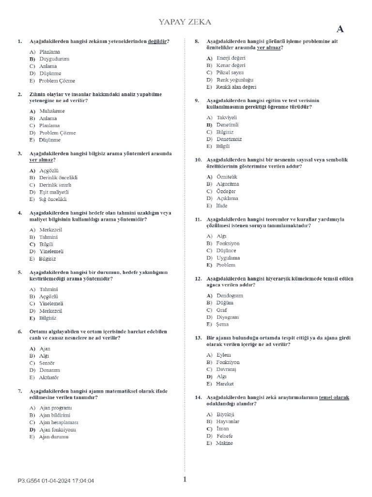 Yapay Zeka 2024 Vize | PDF