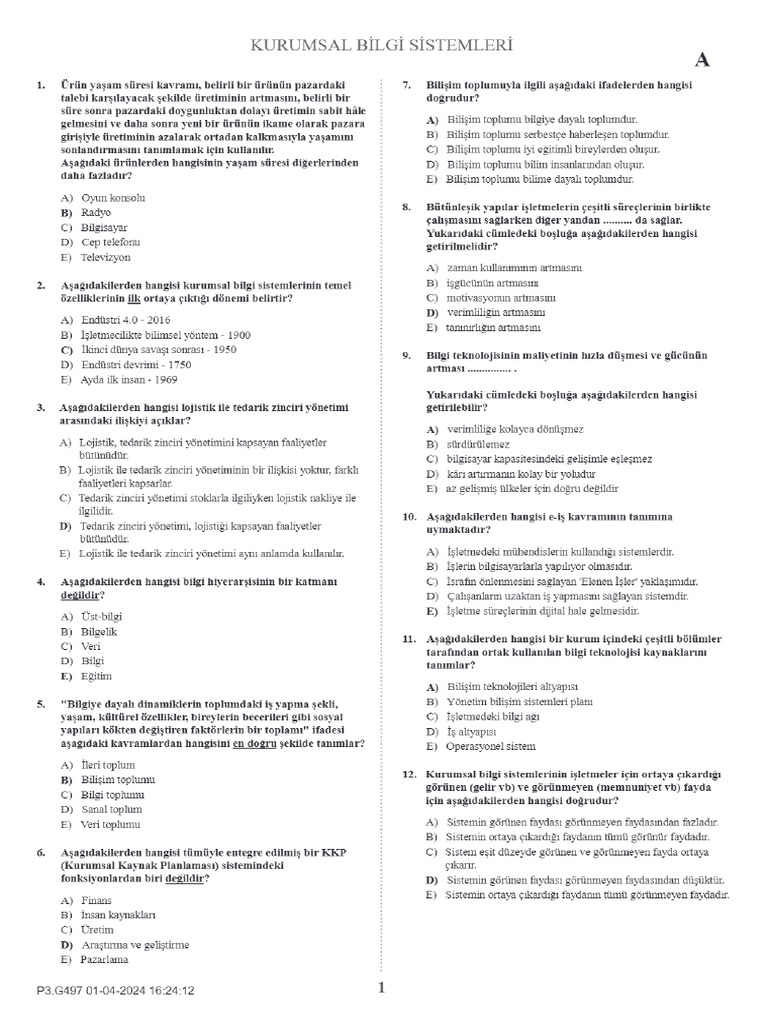 Kurumsal Bilgi Sistemleri 2024 Vize | PDF