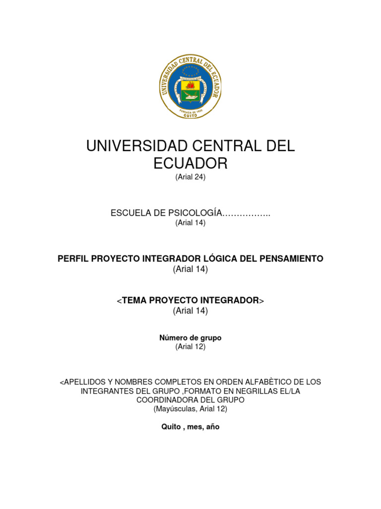 Propuesta Perfil Proyecto Integrador 2024 | PDF