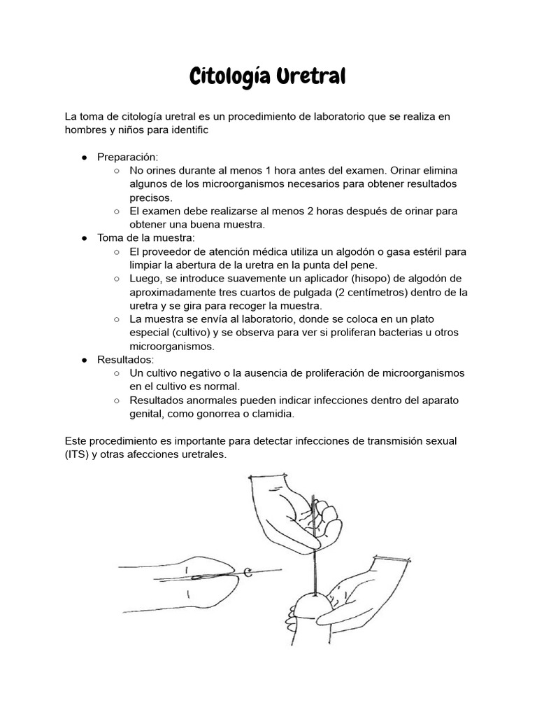 Citologia Uretral | PDF