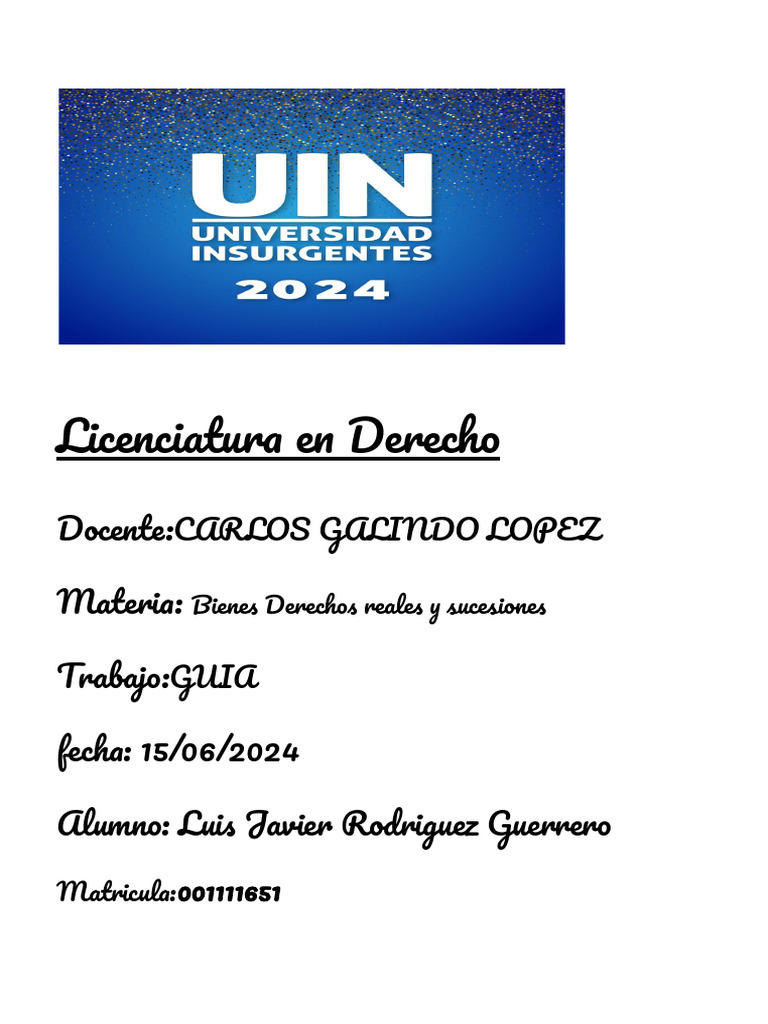 Guía de Bienes y Sucesiones | PDF
