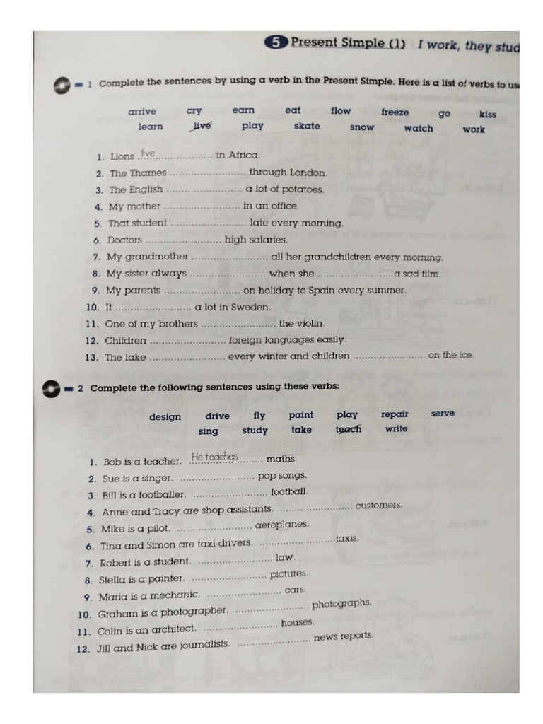 Present Simple | PDF