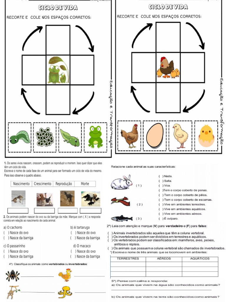 Atividades Sobre Os Animais Ciclo de Vida, Classificação Dos Animais ...