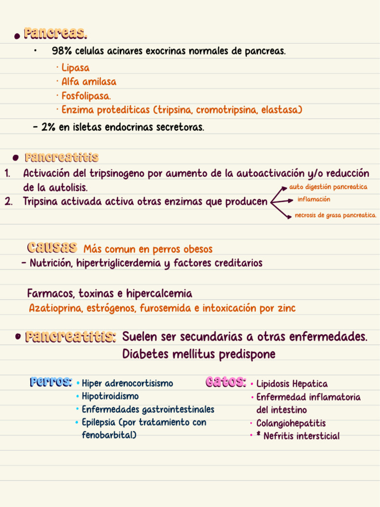 Pancreas | PDF | Páncreas | Especialidades Medicas