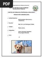 Ficha de Profilaxis Antirrábica | PDF | Rabia | Ciencias de la Salud