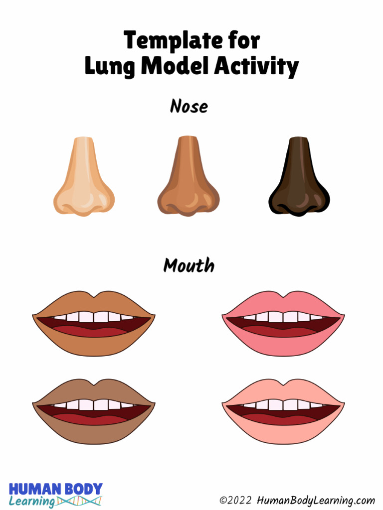 DIY Lung Model Nose Mouth Template | PDF DIY Lung Model Nose Mouth Template | PDF